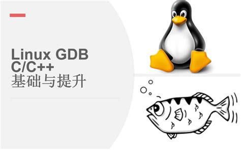 Linux Gdb Cc调试基础哔哩哔哩bilibili