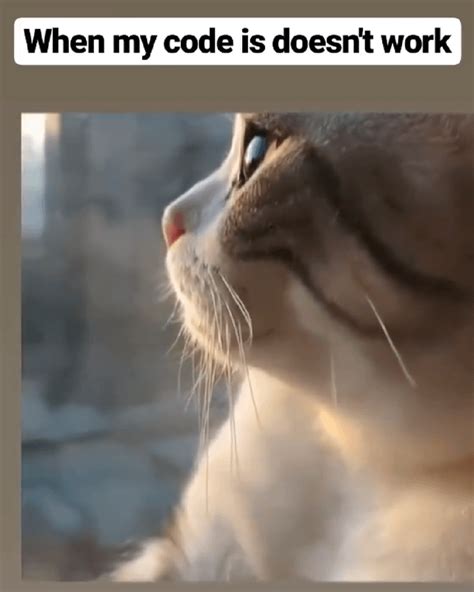 Help My Code Is Doesnt Work Engrish