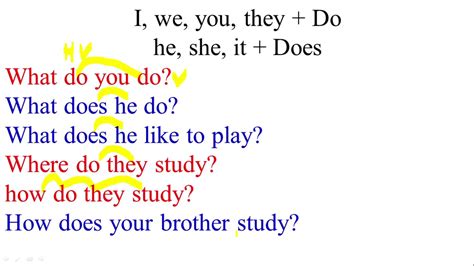 Do And Does Do Vs Does Difference In Do And Does Examples Of Do And