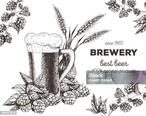 맥주의 벡터 그림입니다 양조 용 원료 홉과 보 리의 분기 펍 메뉴입니다 맥주는 설정합니다 0명에 대한 스톡 벡터 아트 및 기타 이미지 Istock