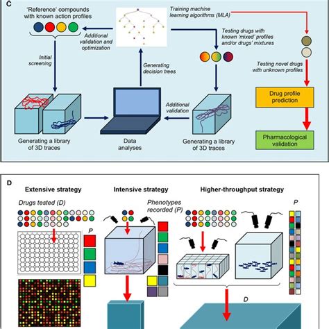 Example Of Potential Decision Trees A B That Can Be Used By Automated Download Scientific