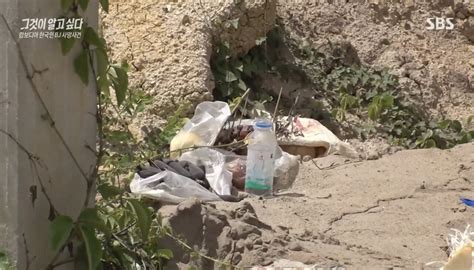 어제자 그알 캄보디아에서 Bj 사망한 사건 마지막 장면  포텐 터짐 최신순 에펨코리아