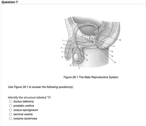 Solved Question Points Save Answe Chegg Com