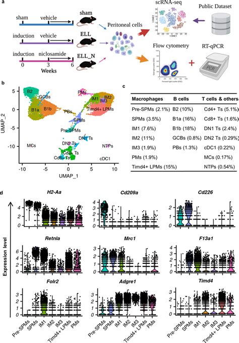 Single Cell Transcriptomic Profiling Of Peritoneal Immune Cells A Download Scientific Diagram