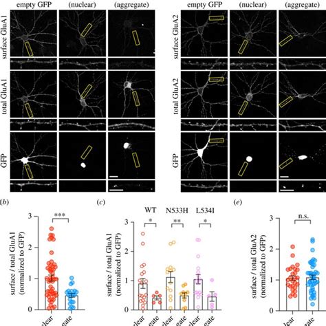 The Crystal Structure Of The Sfpq L534i Mutant Reveals A Second