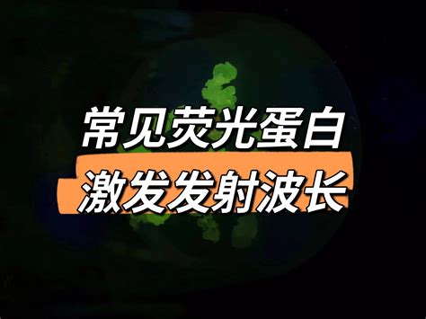 五种常见荧光蛋白的激发发射波长 析浦科学 析浦科学 哔哩哔哩视频