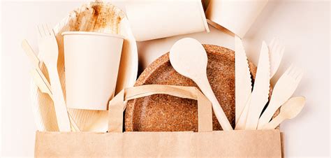 에코 공예 종이 식기 컵 패스트 푸드 용기 재활용 환경 친화적 인 개념 일회용 에코 칼 붙이 접시 숟가락 나이프 가벼운 배경에