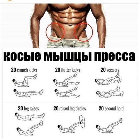 Косые мышцы живота у девушек Где находятся анатомия упражнения фото до и после накачки