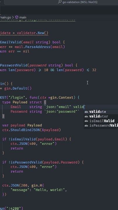 The Most Elegant Field Validation Technique In Go Golang Backend