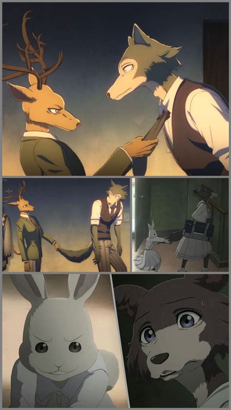 Pin By Daechiwit Castro On Beastars Cute Drawings Cute Comics Furry Art