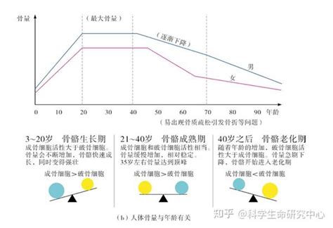 钙片什么时候吃吸收效果最好如何有效提高钙片的吸收率 知乎