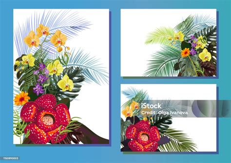 열 대 식물 수직 수평 카드와 템플릿 보라색 덴 드로 븀 빨간색 노란색 호 접 난초 꽃 라 플레시 아 거 베라 몬스 테라 코코넛 야자수 잎 흰색 배경 벡터 A4 라플레시아에