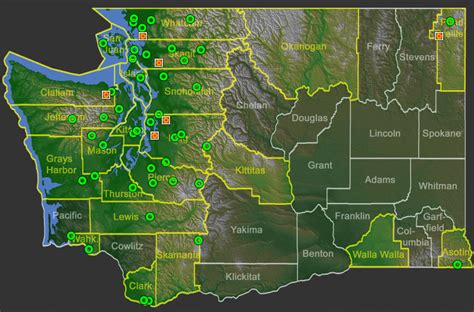 Ranunculus Acris Burke Herbarium Image Collection
