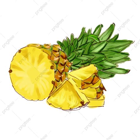 과일 일러스트 파인애플 파인애플 레몬 과일 Png 일러스트 및 Psd 이미지 무료 다운로드 Pngtree