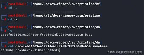Ctfhub：信息泄露所有题目ctfhub题目 Csdn博客