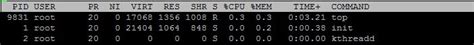 mastering top command in unix linux web hosting tutorials