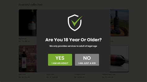 Age Verification Popup Sb Shopify Age Verification App 18 Age