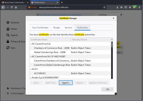 Install Burps Ca Certificate In Firefox Guide For Burp Suite Security Cipher