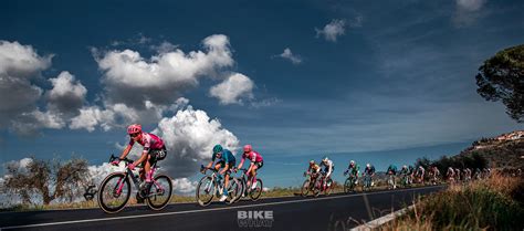 비토리아 코르사 프로 Vittoria Corsa Pro Bikewhat