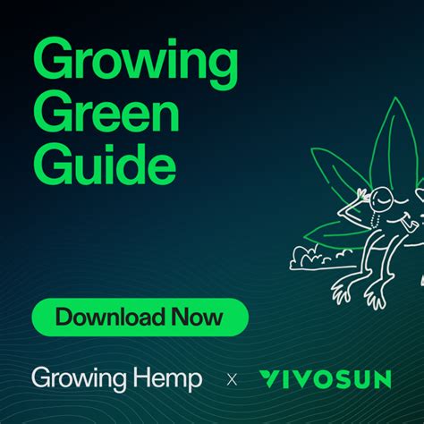 Thin Mints Strain Everything You Need To Know Vivosun