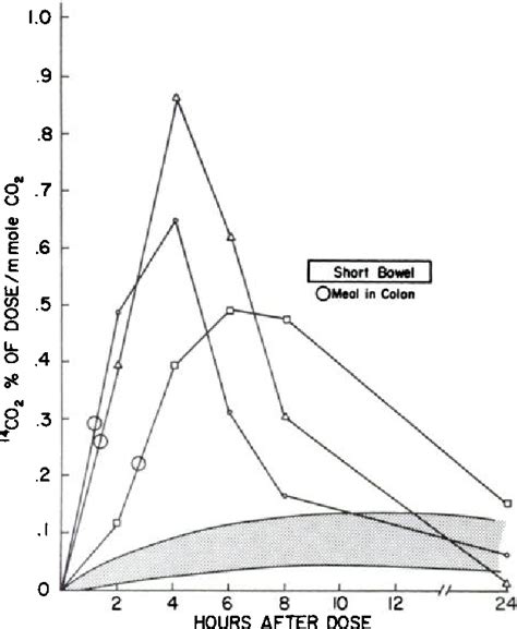 Figure 5 From Location Of The Site Of Bacterial Bile Salt Deconjugation