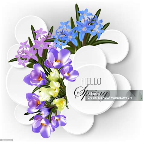 봄 배경 프레임 안녕하세요 봄에 섬세한 꽃잎 앵초 크로커스와 치오노독스 0명에 대한 스톡 벡터 아트 및 기타 이미지 0명 계절 꽃 나무 Istock