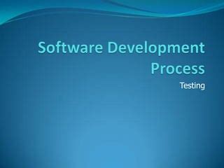 The Software Development Process Testing PDF