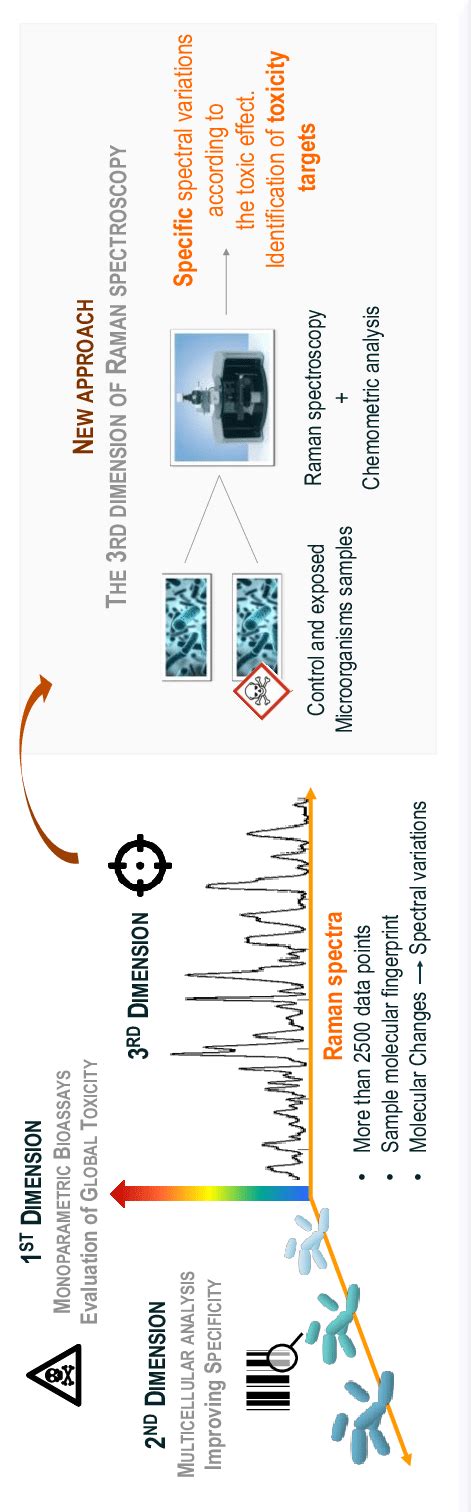 Toxicity Assessment At 3 Complimentary Dimensions Download Scientific Diagram