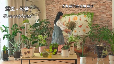 20가지 식물 키우기 화초 심기 살림 Vlog Youtube