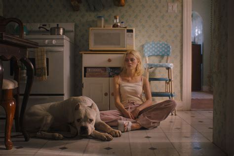 Nicola Peltz Makes Her Directorial Debut With Lola — Watch The Trailer