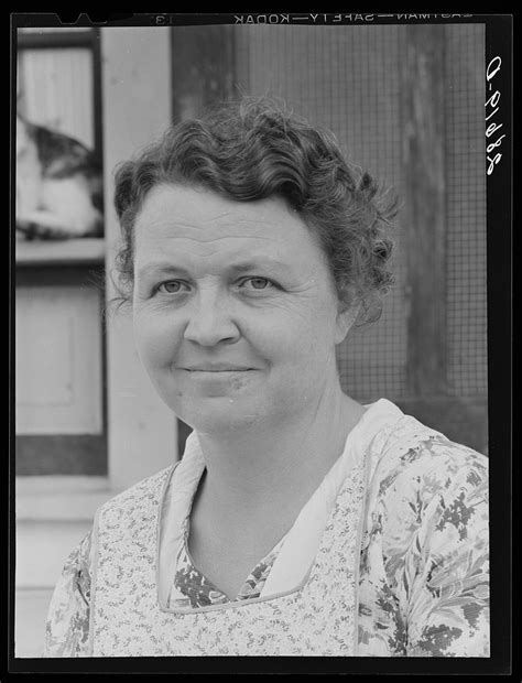 Beede Images Free Photos Png Stickers Wallpapers And Backgrounds