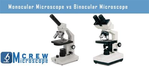 Difference Between Monocular And Binocular Microscope Microscope Crew