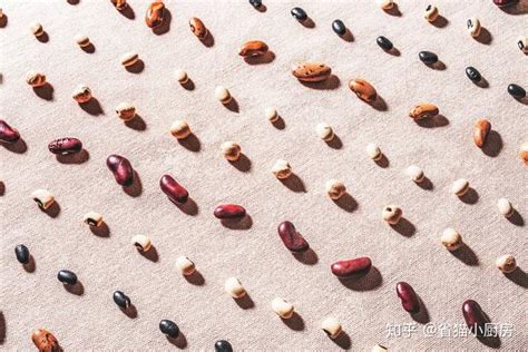 “豆”趣横生：你所不知道的豆类最全指南 知乎