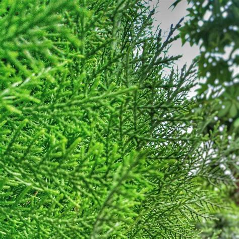 Ammar Siddiqui On Linkedin I Am A Photo Editor And I Uses Photoshop Software To Edit Photos I Am