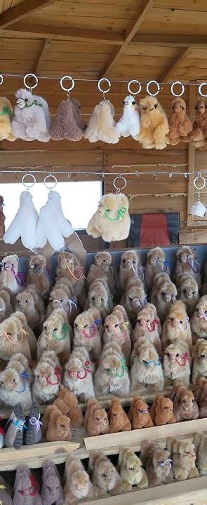 낙타 털로 만든 키링 파는 바양작 Bayanzag Flaming Cliffs Баянзаг Youtube