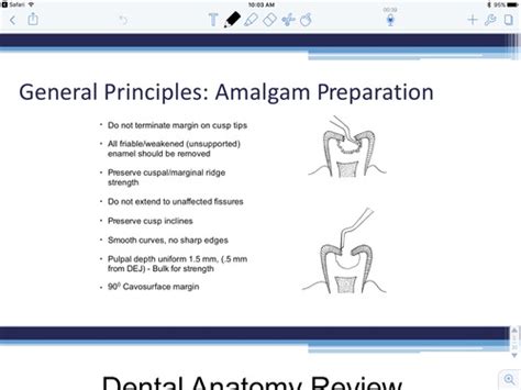 Class I Preparation Flashcards Quizlet