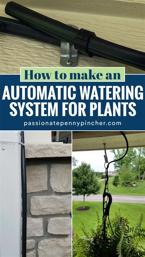 Diy Automatic Watering System For Plants How Can This