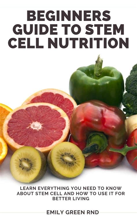 Beginners Guide To Stem Cell Nutrition Learn Everything You Need