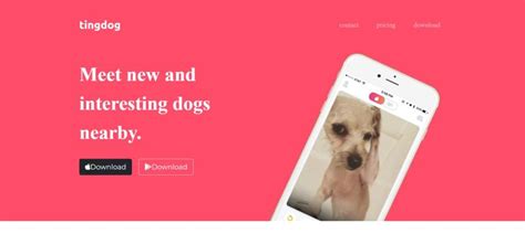 Dhayal Karthikeyan On Linkedin Html Css Bootstrap Webdeveloper Webdevelopment Share