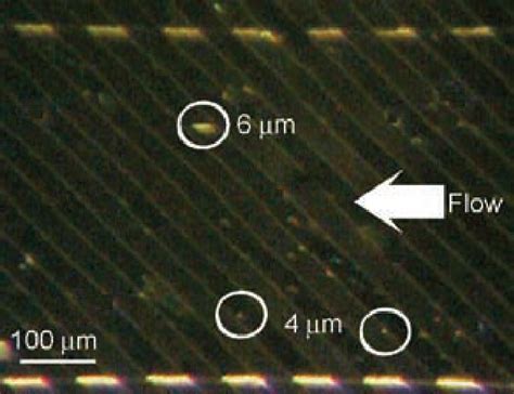 Dielectrophoretic Forces Generated By Ac Voltage And Slanted Electrode Download Scientific