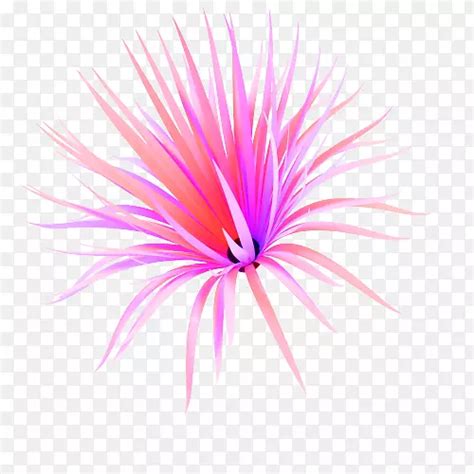 电影高动态范围成像png图片素材下载图片编号1703715 Png素材网