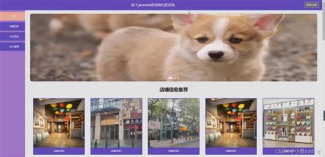 基于springbootvue的宠物托管系统的详细设计和实现源码lw部署文档讲解等 阿里云开发者社区