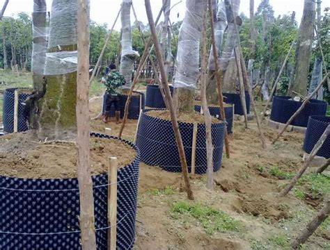 China Pe Root Controller Machine Suppliers Manufacturers Factory