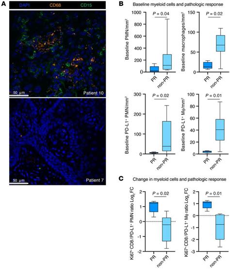 Jci Enhanced Neoepitope Specific Immunity Following Neoadjuvant Pd L1 And Tgf β Blockade In