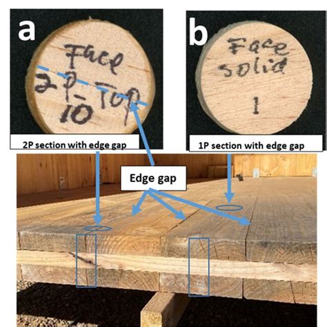 Coring Schematic A 2p And B 1p Sections That Were Targeted For