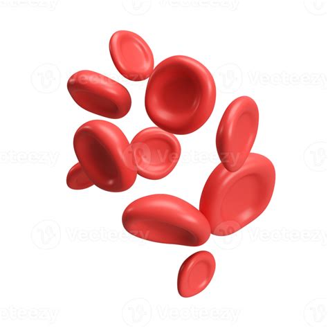 3d Flow Red Blood Cells Iron Platelets Erythrocyte Realistic Medical