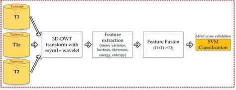 The Proposed Brain Tumour Classification Method Download Scientific Diagram