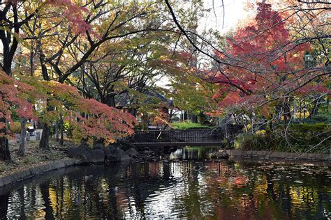 区立馬橋公園すぎなみ学倶楽部