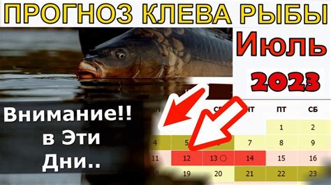 Лунный календарь клева рыбы на Июль 2023 года Прогноз клева рыбы на неделю Календарь клева Июль