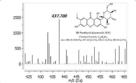 Extracted Mass Ion Chromatography Of Norathyriol Glucuronide Download Scientific Diagram